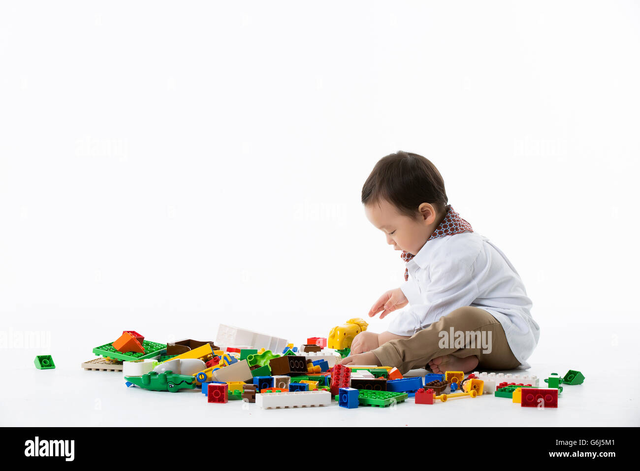 Little Asian Boy playing with Building Blocks - Isolated on White Stock ...