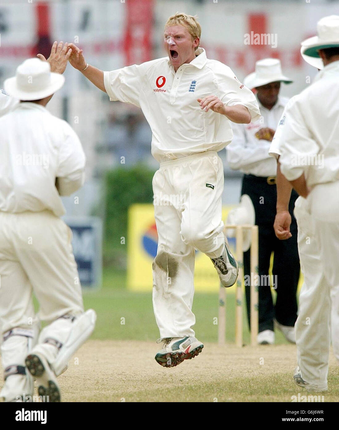 Sport cricket celebrating gareth batty hi-res stock photography and ...