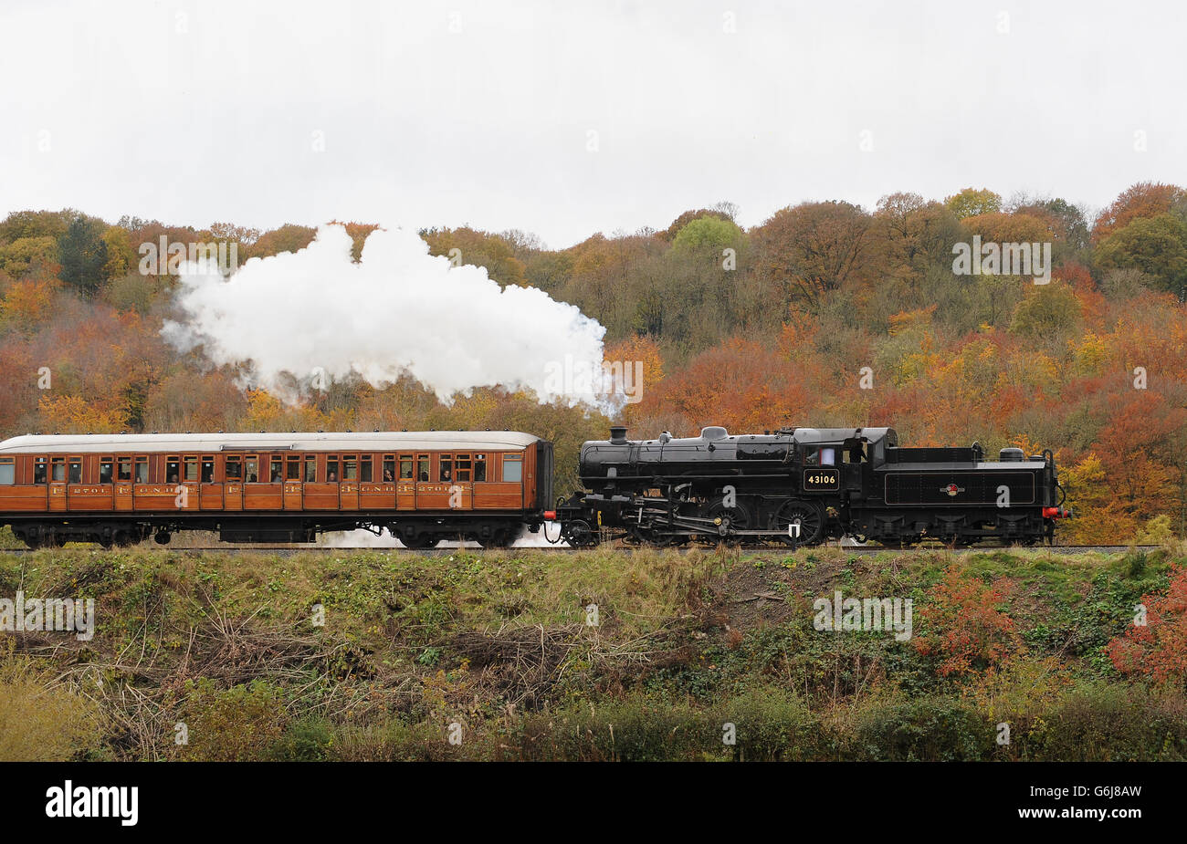 Steam engine 43106 'The Flying Pig' travels between Bewdley and Arley ...
