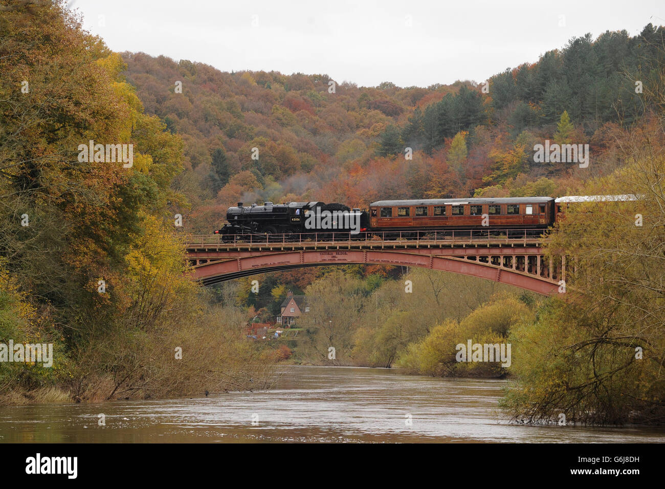 Steam engine 43106 'The Flying Pig' travels between Bewdley and Arley ...