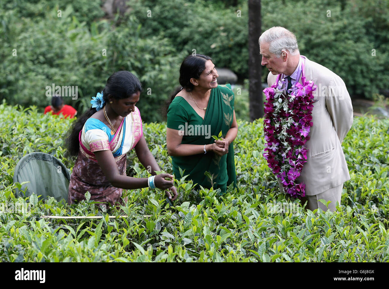 The Prince of Wales visits the Mackwoods Labookellie Tea Estate, Sri ...