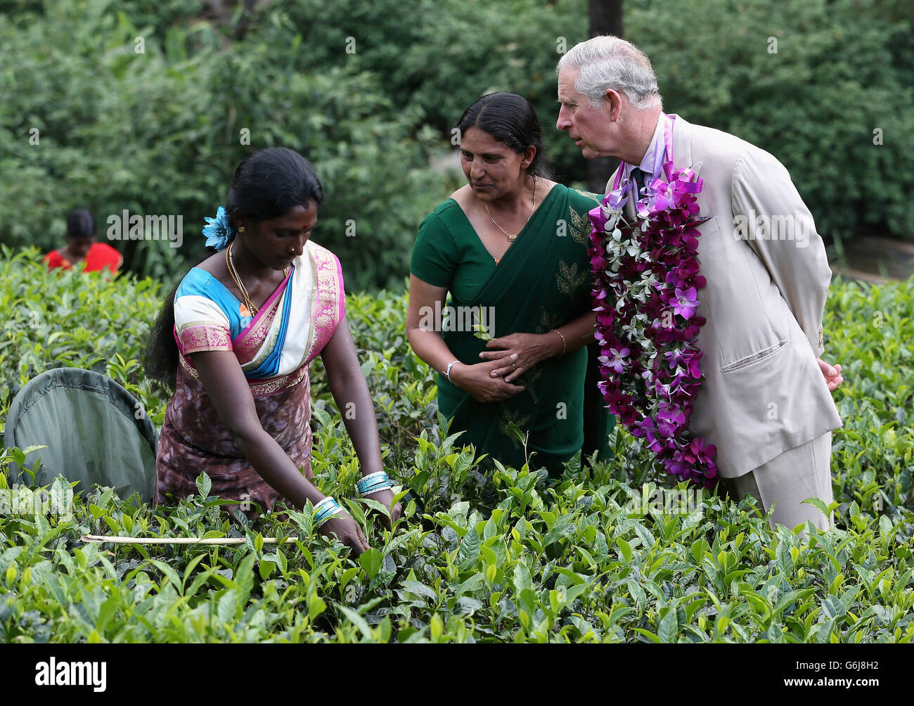 The Prince of Wales visits the Mackwoods Labookellie Tea Estate, Sri ...