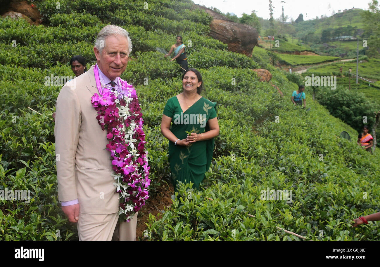 The Prince of Wales visits the Mackwoods Labookellie Tea Estate, Sri ...