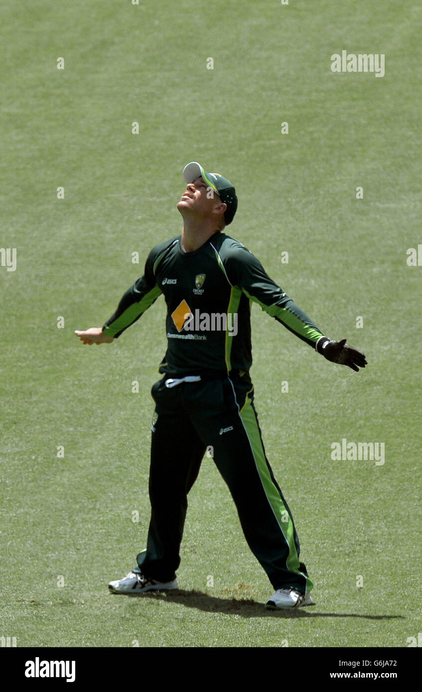 Australia's David Warner during the nets session at The Gabba, Brisbane ...