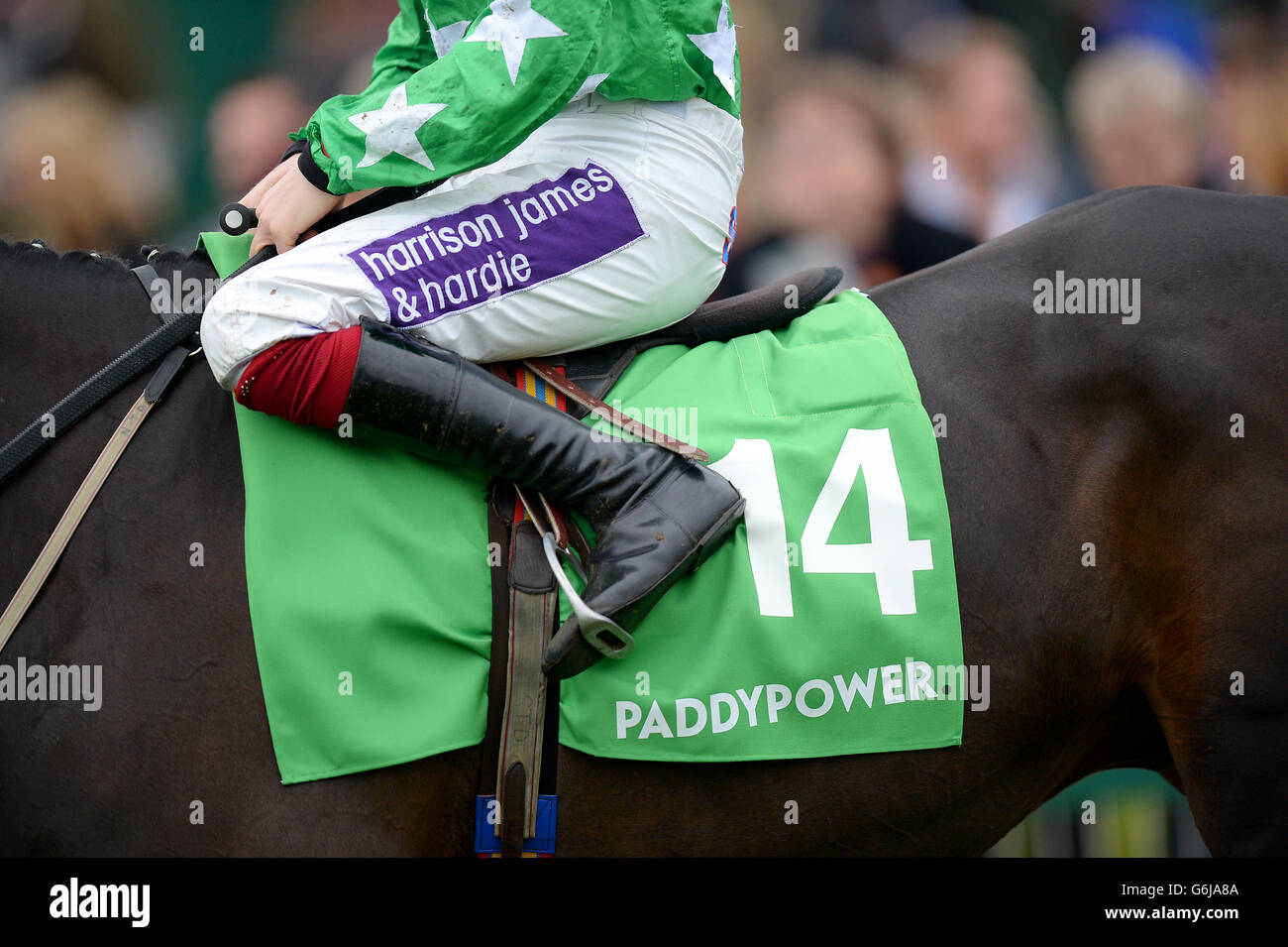 Paddypower gold cup hi-res stock photography and images - Alamy
