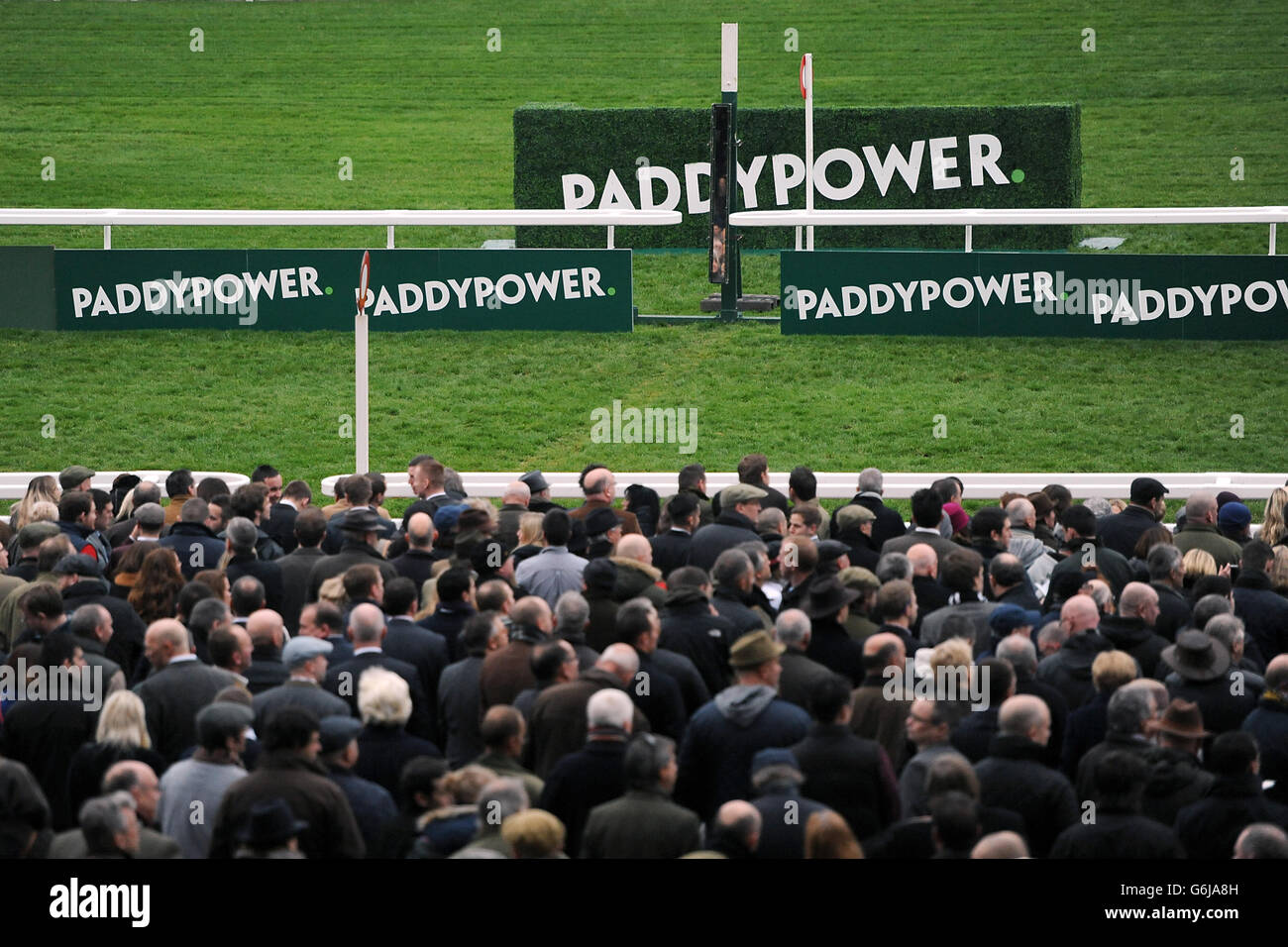 Paddypower gold cup hi-res stock photography and images - Alamy