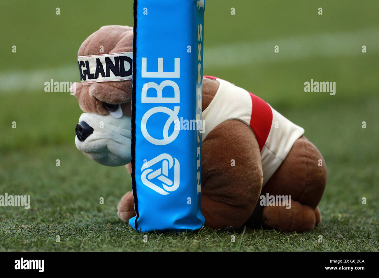Rugby union englands mascot hi-res stock photography and images - Alamy