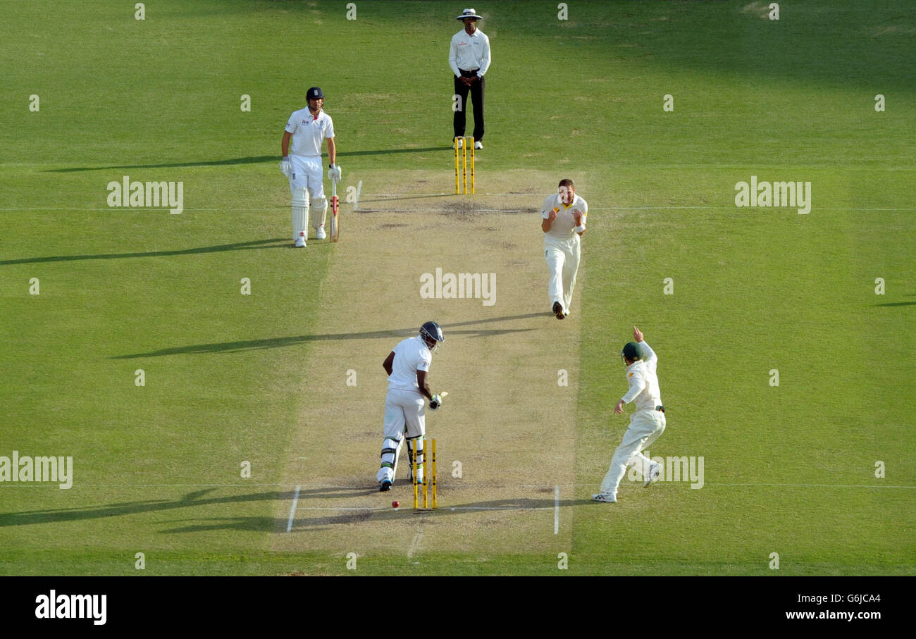 Australia's Ryan Harris (second right) celebrates after England's ...