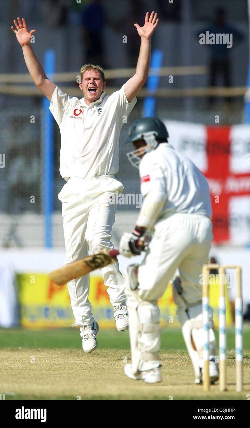 Cricket celebrating matthew hoggard hi-res stock photography and images - Alamy
