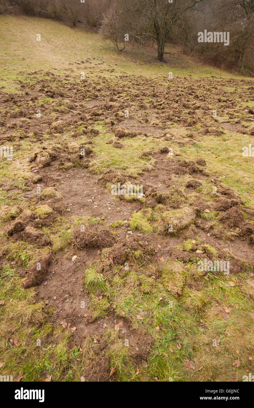 Digged grassland hi-res stock photography and images - Alamy