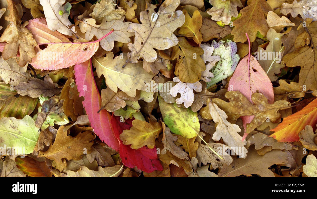 Sandite hi-res stock photography and images - Alamy