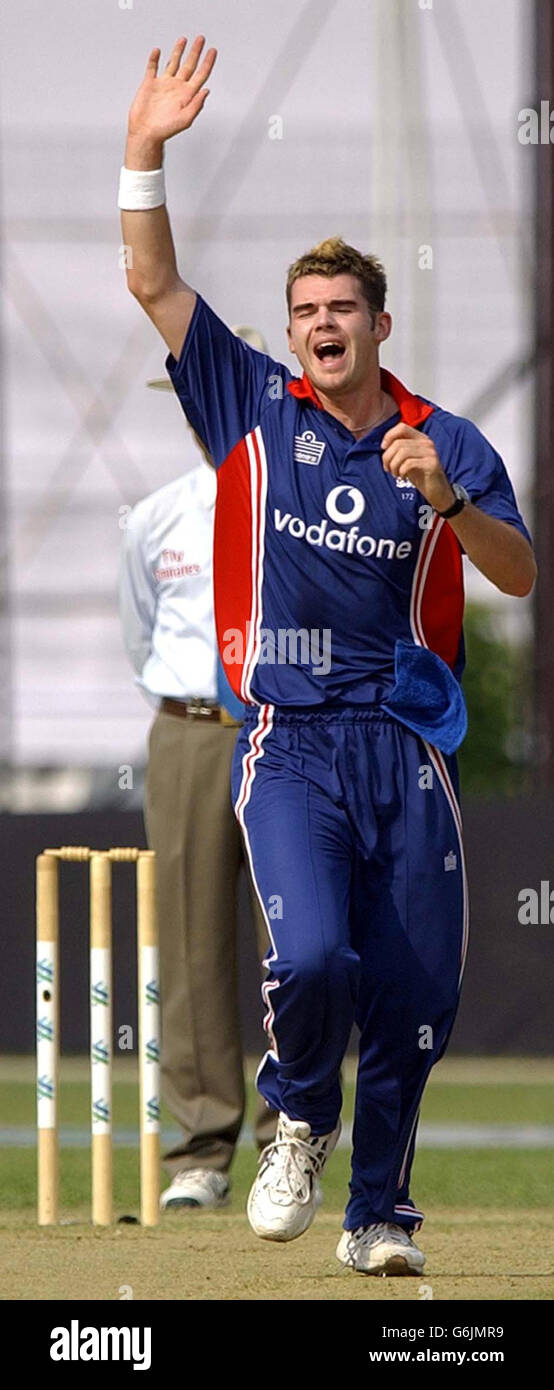 England bowler James Anderson celebrates taking the wicket of ...