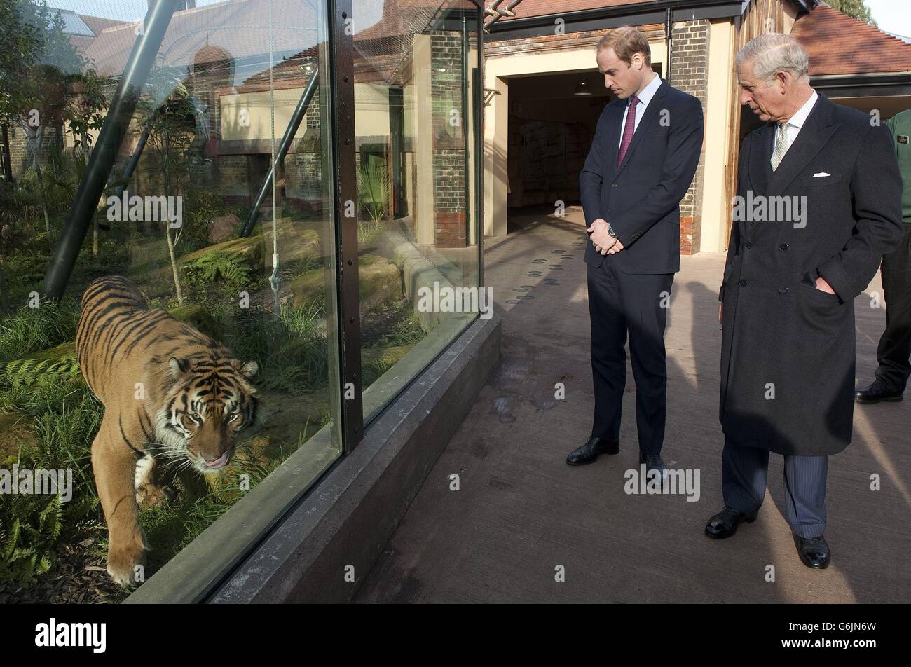 The Prince of Wales and The Duke of Cambridge tour the tiger enclosure ...