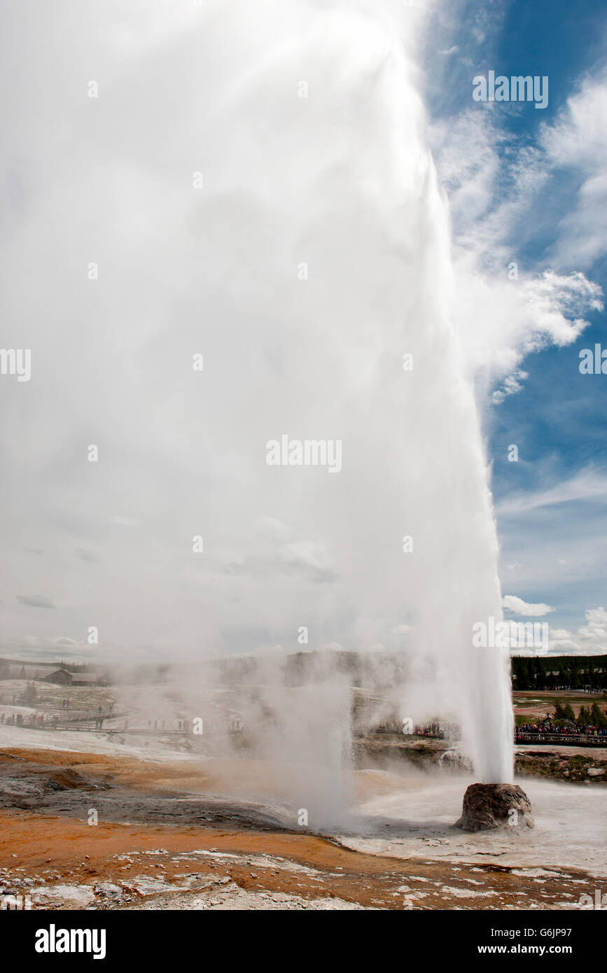 Geyser erupting in Yellowstone National Park, Wyoming, USA Stock Photo ...