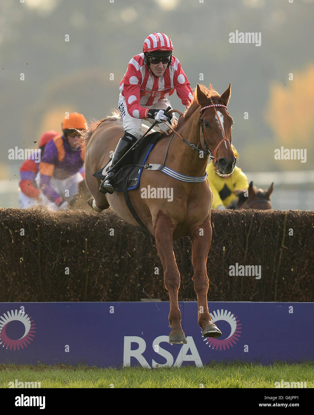Horse racing ampics tony a p action hurdle fence hi-res stock ...