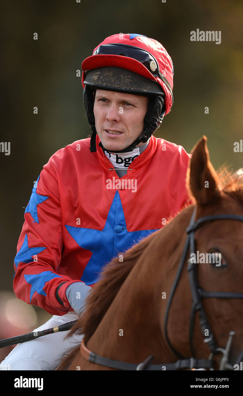 Top half stock matthew ampics hi-res stock photography and images - Alamy