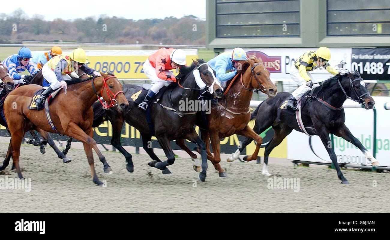 4 50 lingfield hi-res stock photography and images - Alamy