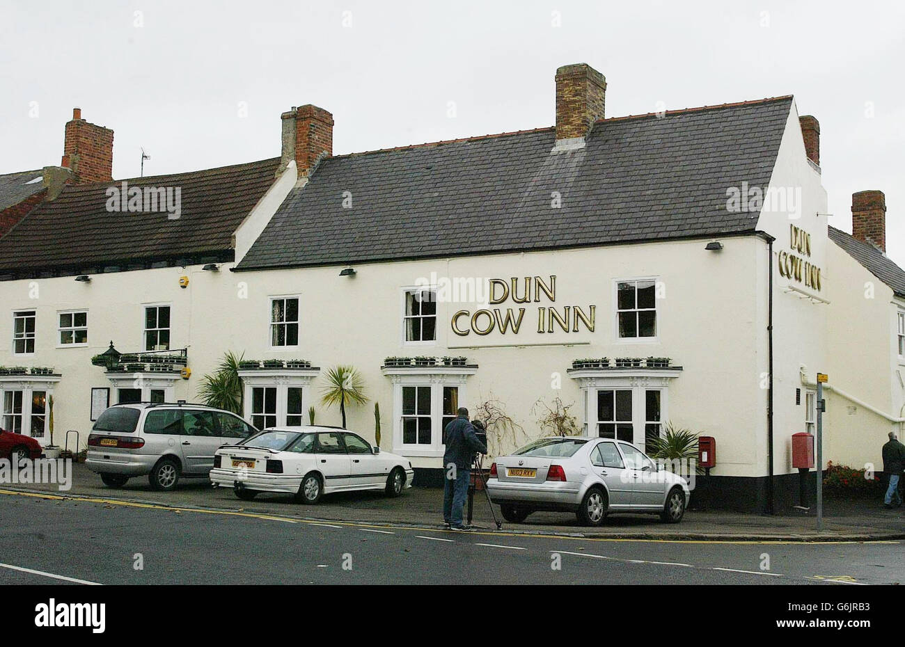 Blair bush dun cow High Resolution Stock Photography and Images - Alamy