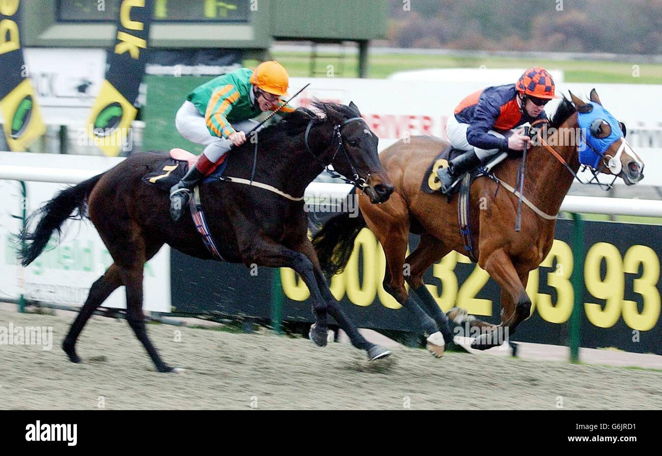 Sport horseracing action joe fanning alan daly hi-res stock photography ...