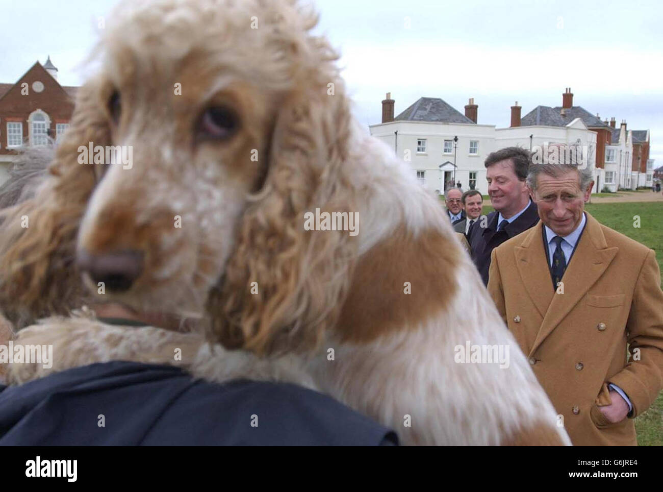 Prince charles spaniel hi-res stock photography and images - Alamy