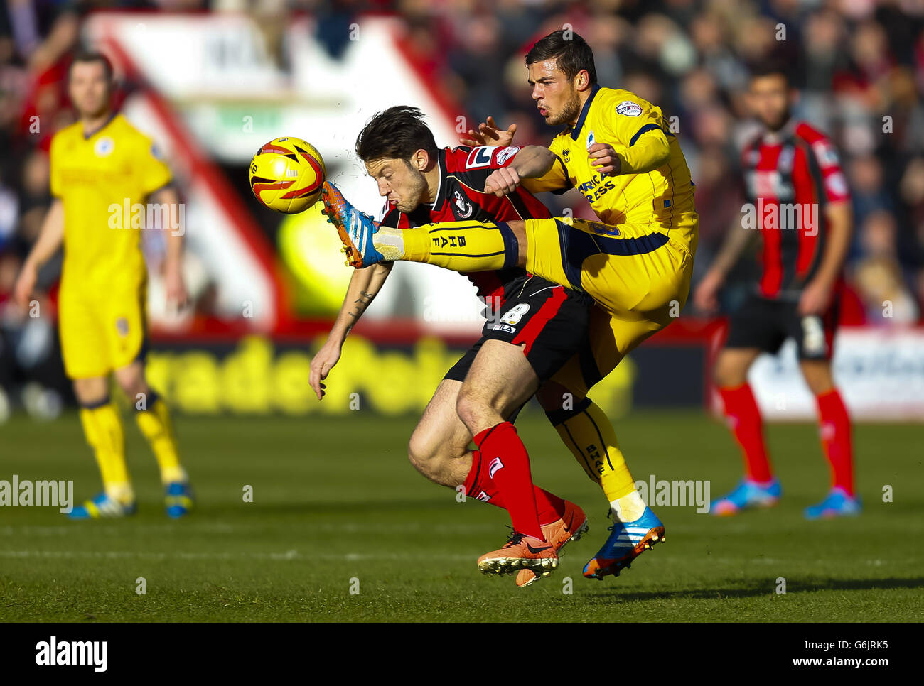 Harry forster hi-res stock photography and images - Alamy
