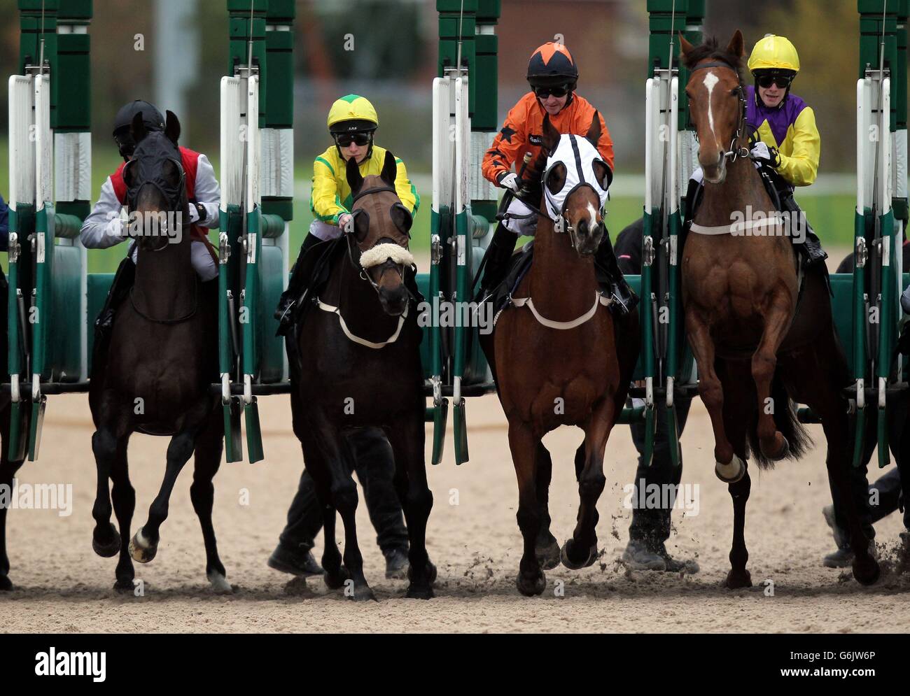 (left to right) Arashi ridden by Dale Swift, Mr Burbidge ridden by Luke ...