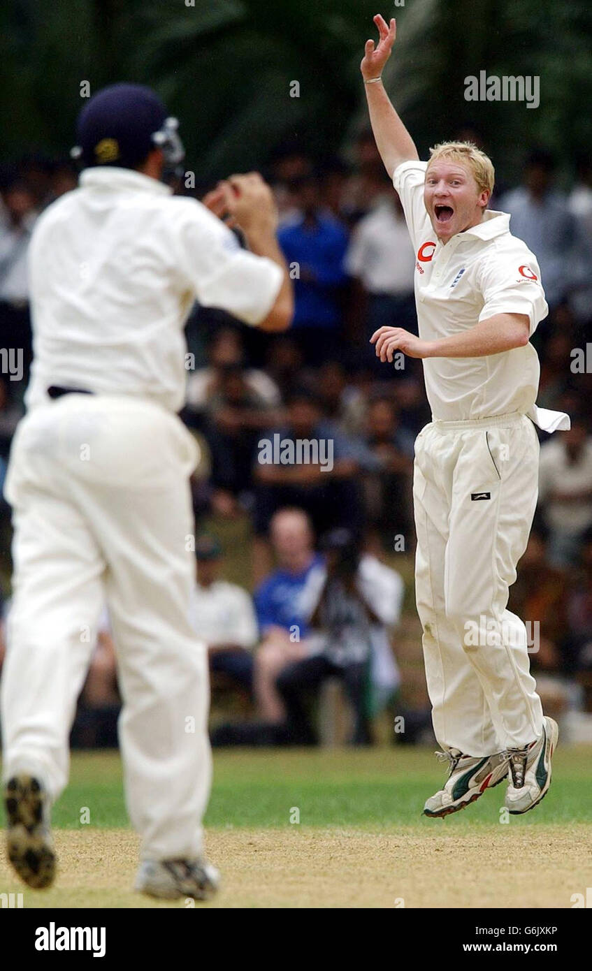 Sport cricket celebrating gareth batty hi-res stock photography and ...