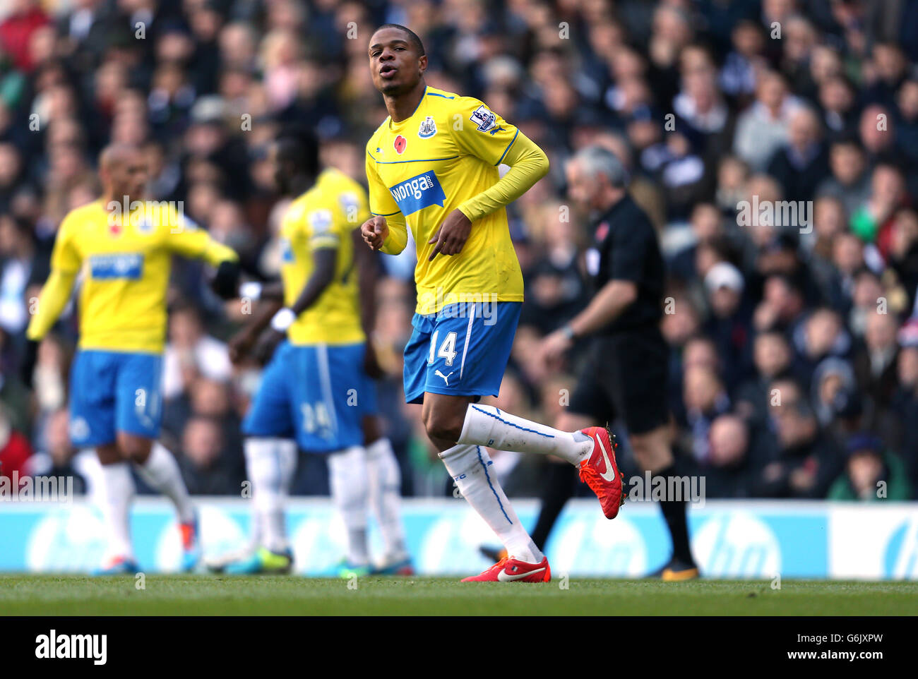 Newcastle United's Loic Remy celebrates scoring the opening goal during ...