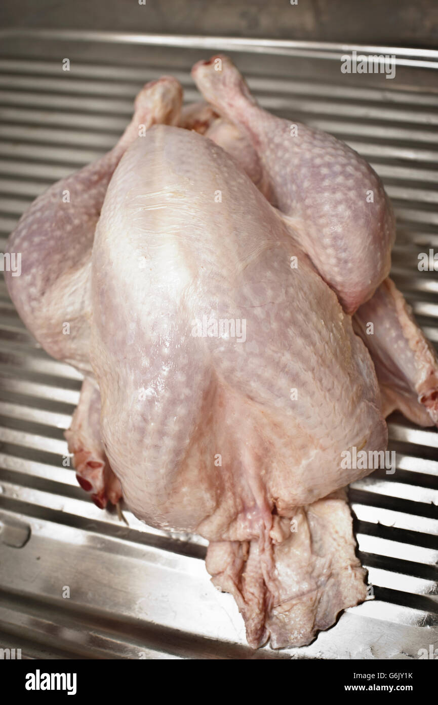 Plucked turkey hi-res stock photography and images - Alamy