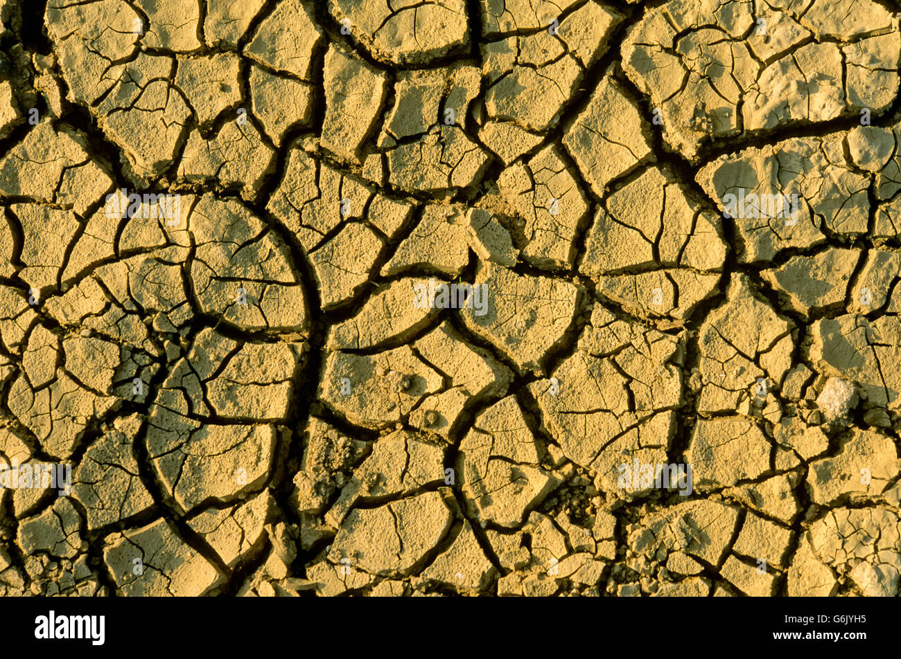 Parched soil hi-res stock photography and images - Alamy