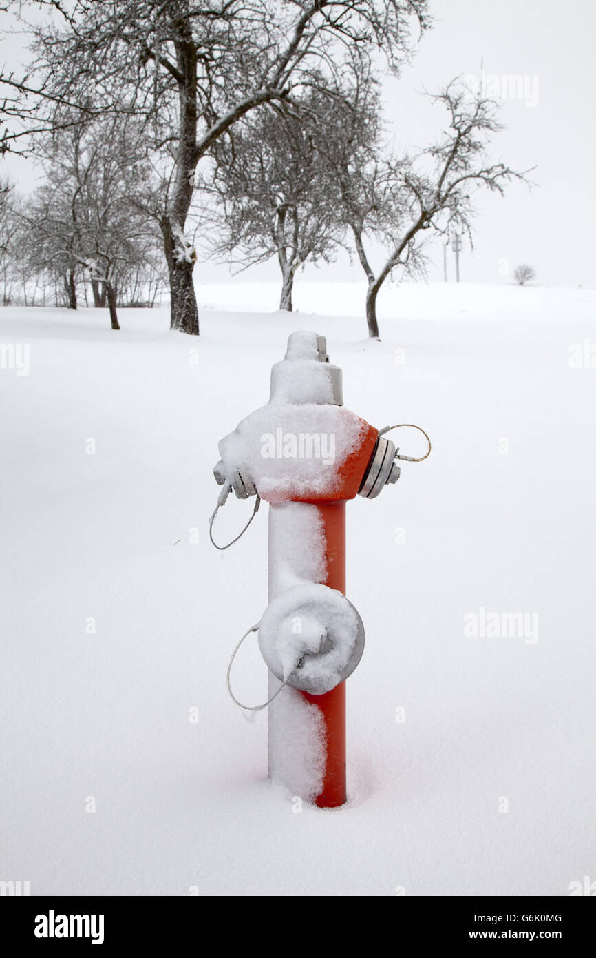 Snow-covered fire hydrant, Hotzenwald, Black Forest, Baden-Wuerttemberg ...