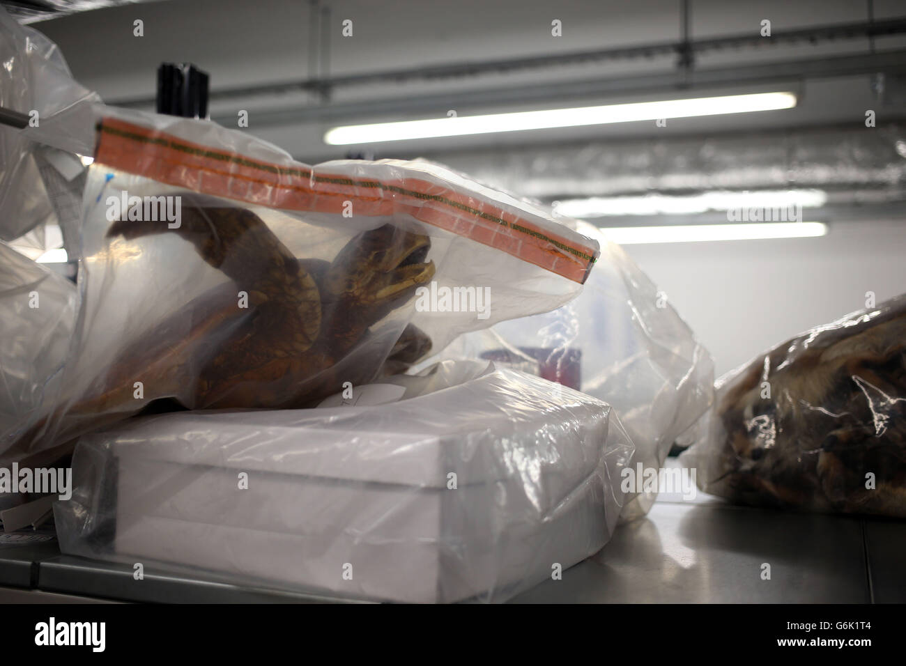 Border force queens warehouse hi-res stock photography and images - Alamy