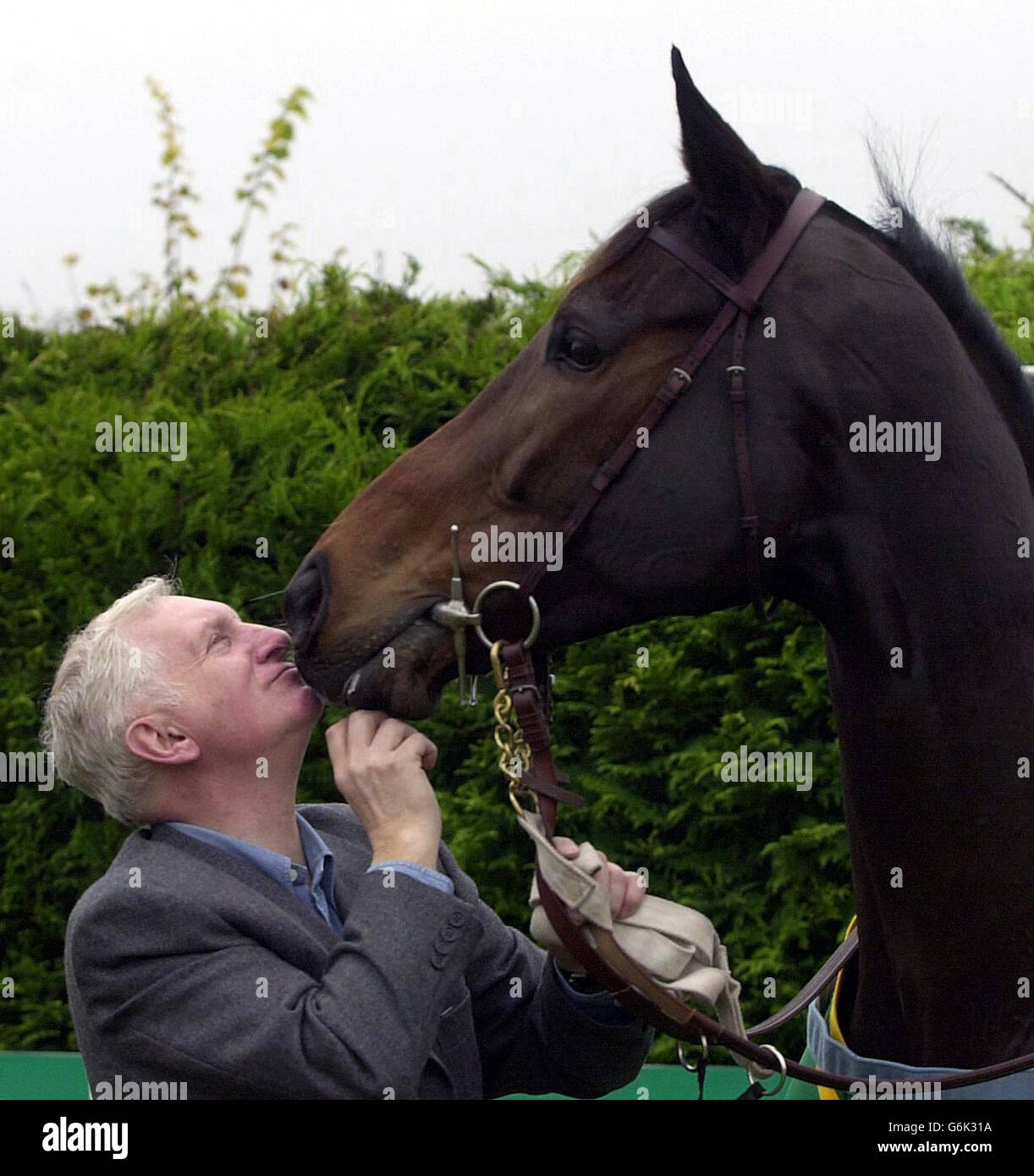Martin pipe stables hi-res stock photography and images - Alamy