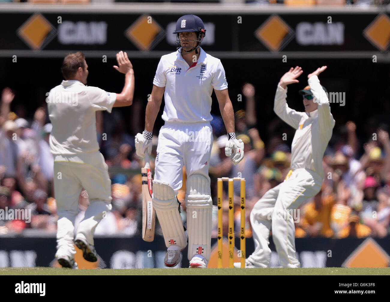 Australia's Ryan Harris (left) celebrates taking the wicket of England ...