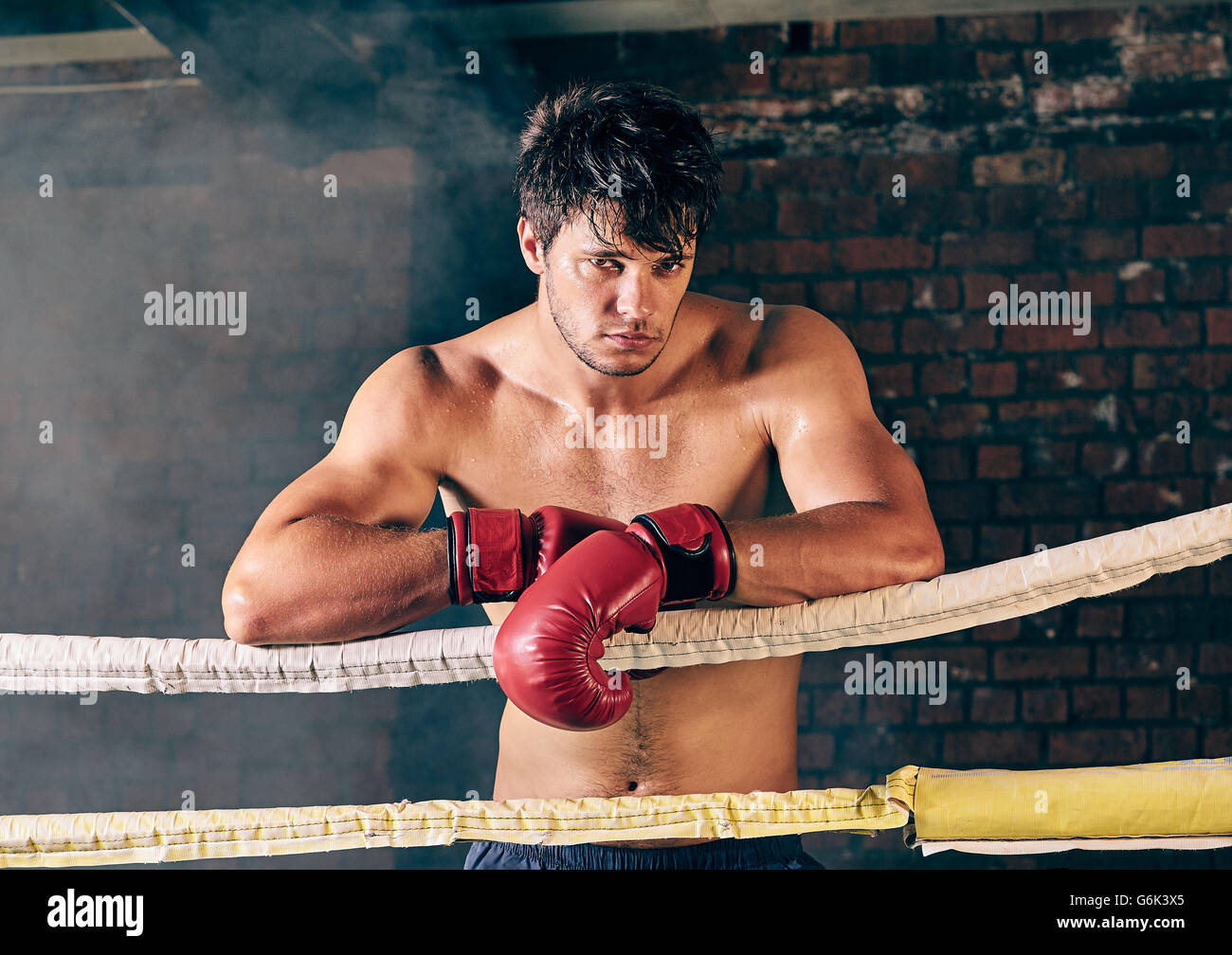 man training gym boxing mma ring shadow boxing mixed martial arts ...