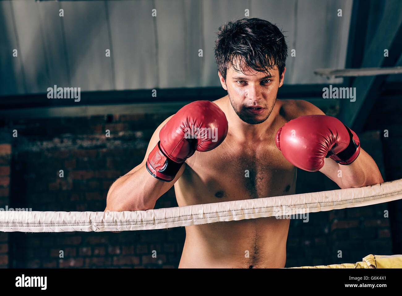 man training gym boxing mma ring shadow boxing mixed martial arts ...