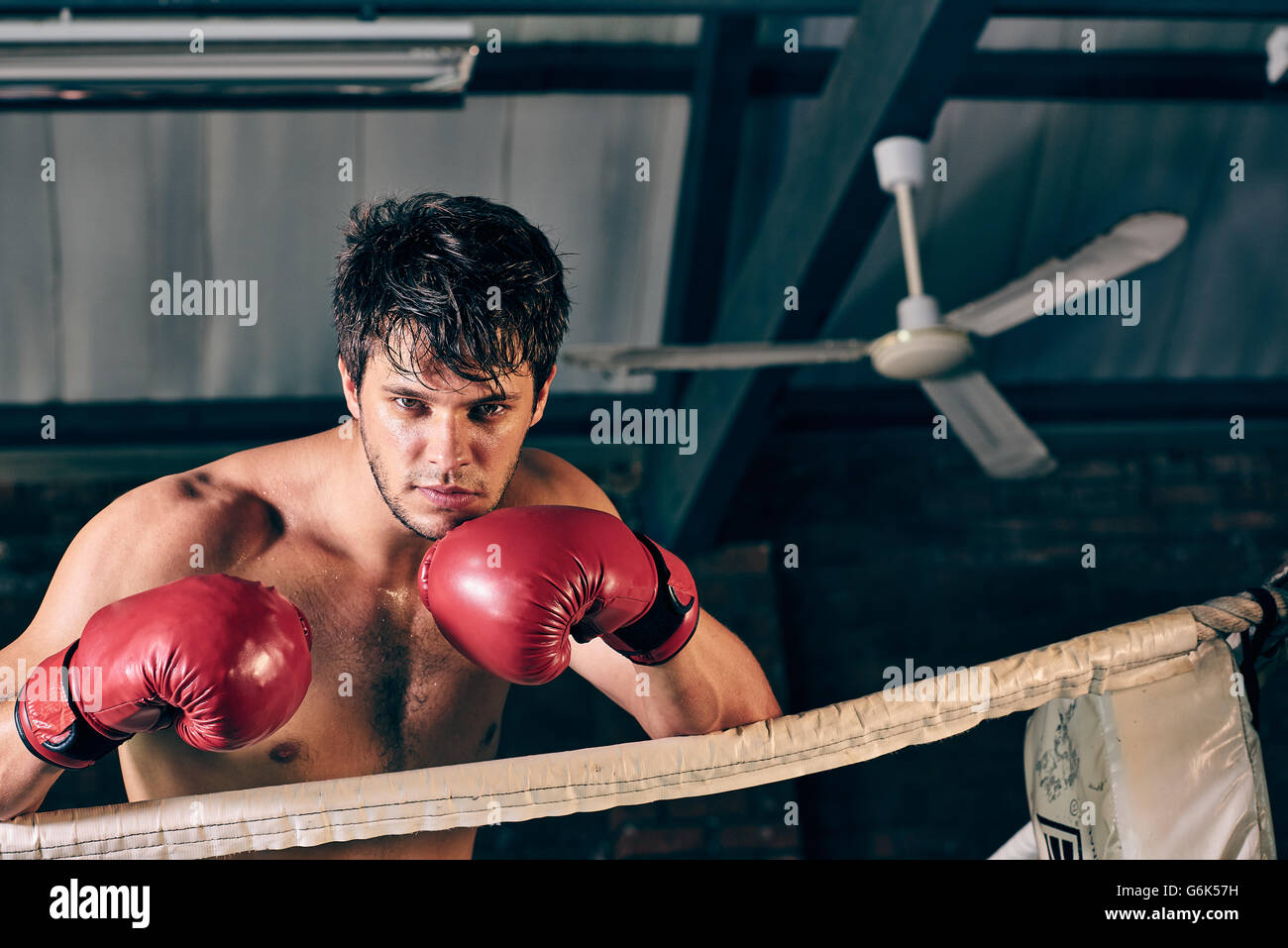 man training gym boxing mma ring shadow boxing mixed martial arts ...