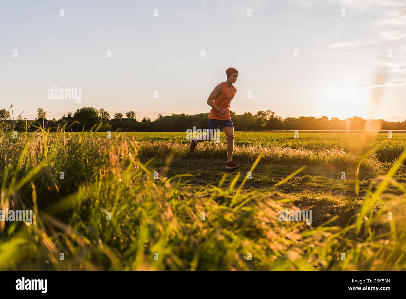 Germany, young man jogging, against the sun Stock Photo - Alamy