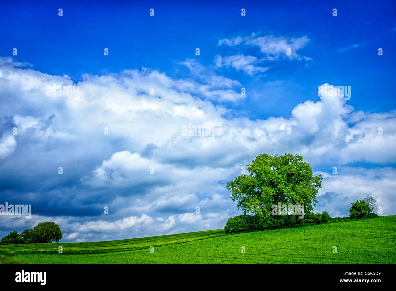 Fields landscape with cloudy sky Stock Photo - Alamy