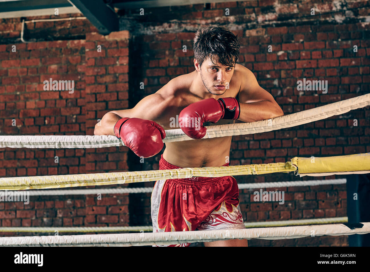 man training gym boxing mma ring shadow boxing mixed martial arts ...