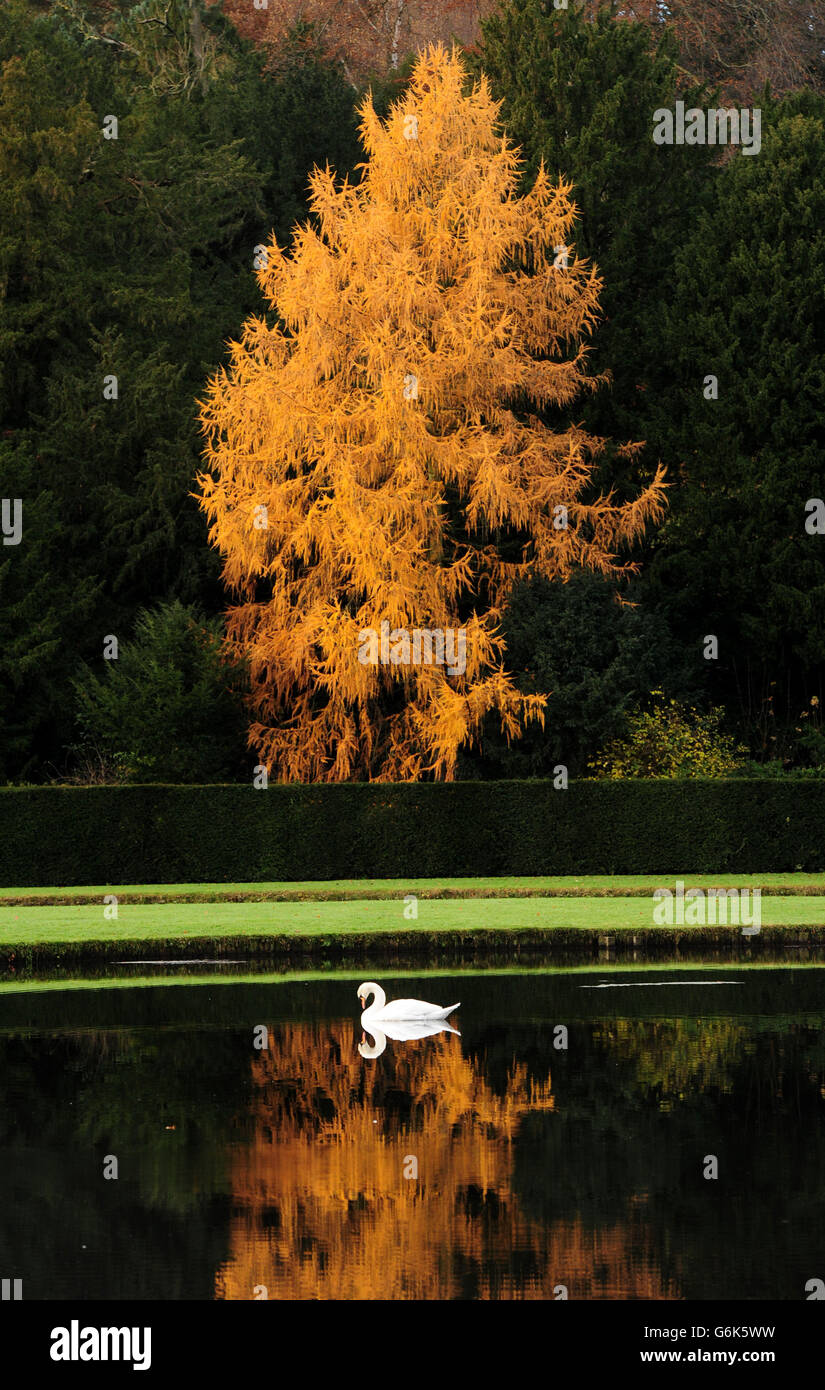 Britaincollectioncuratedautumn hi-res stock photography and images - Alamy