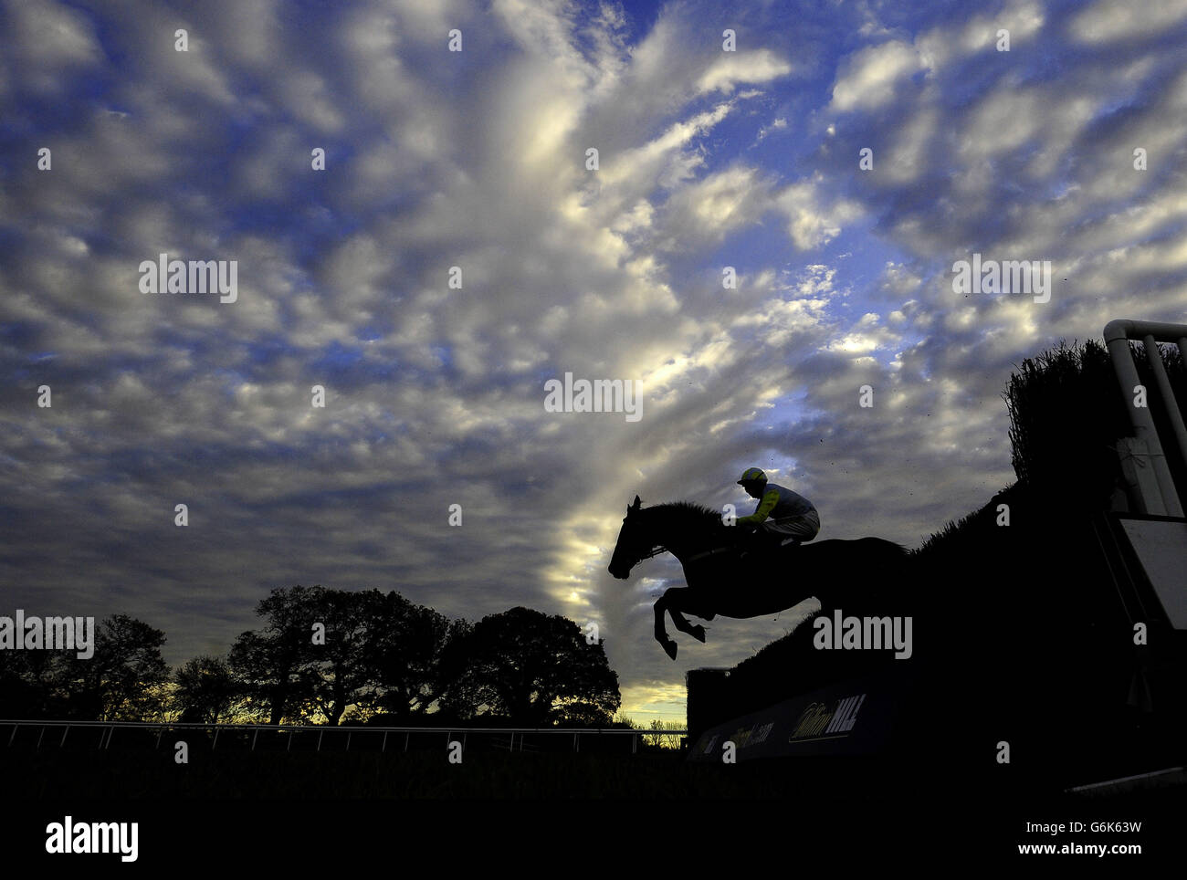Horse Racing - Countryside Day - Wetherby Racecourse Stock Photo - Alamy