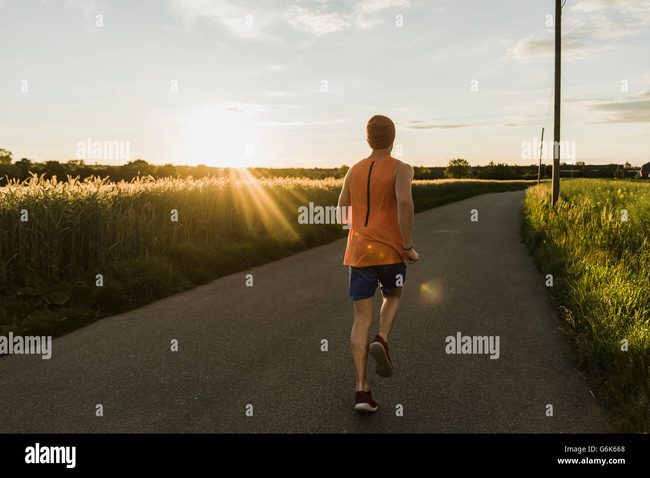 Germany, young man jogging, against the sun Stock Photo - Alamy