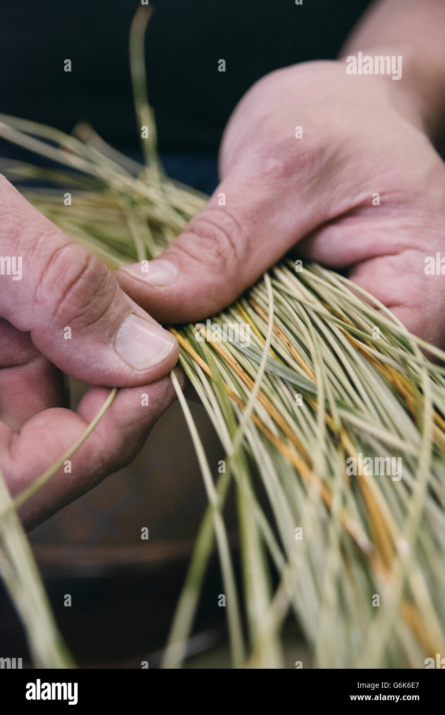 Espartero selecting fibers of esparto Stock Photo - Alamy