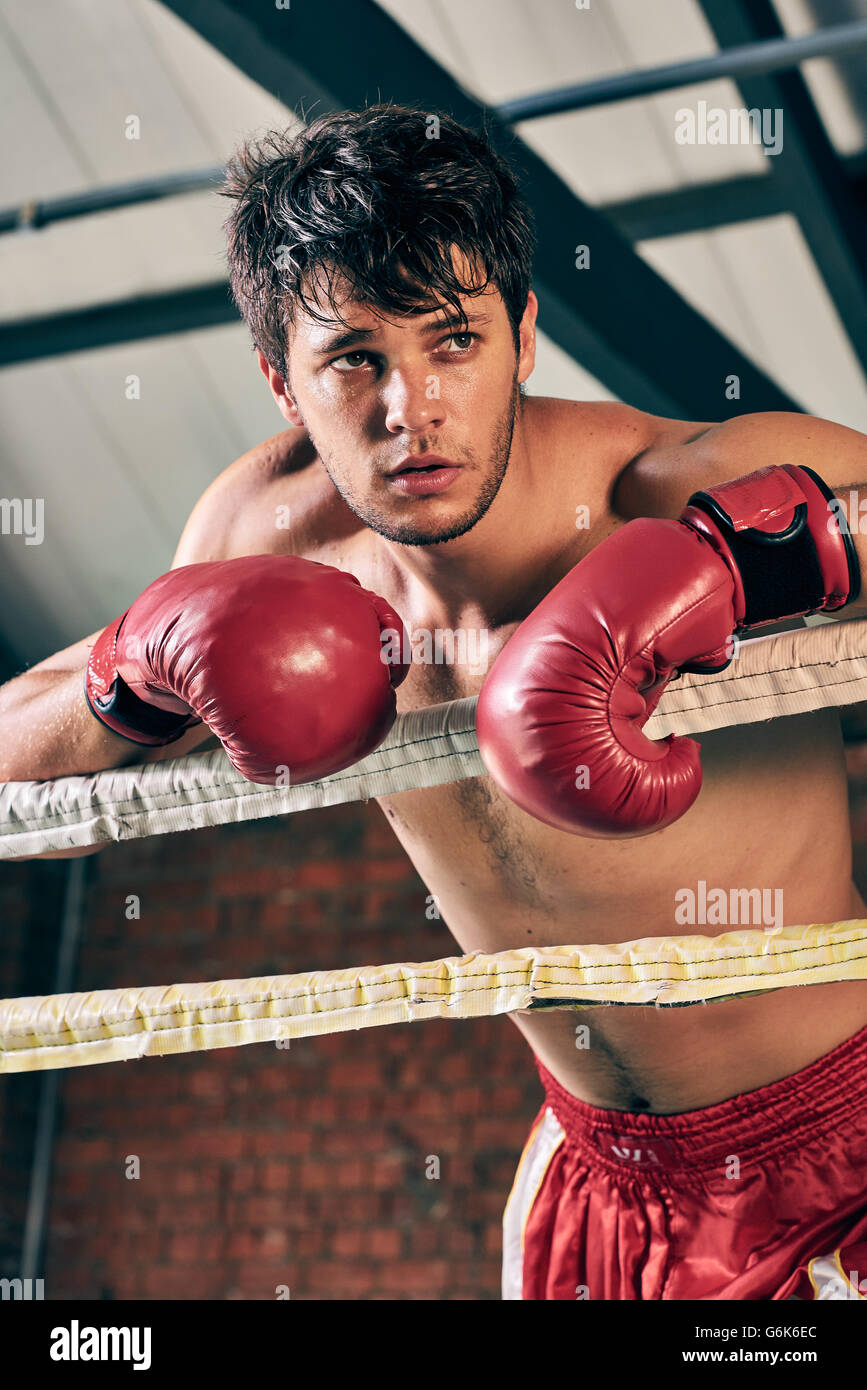 man training gym boxing mma ring shadow boxing mixed martial arts ...