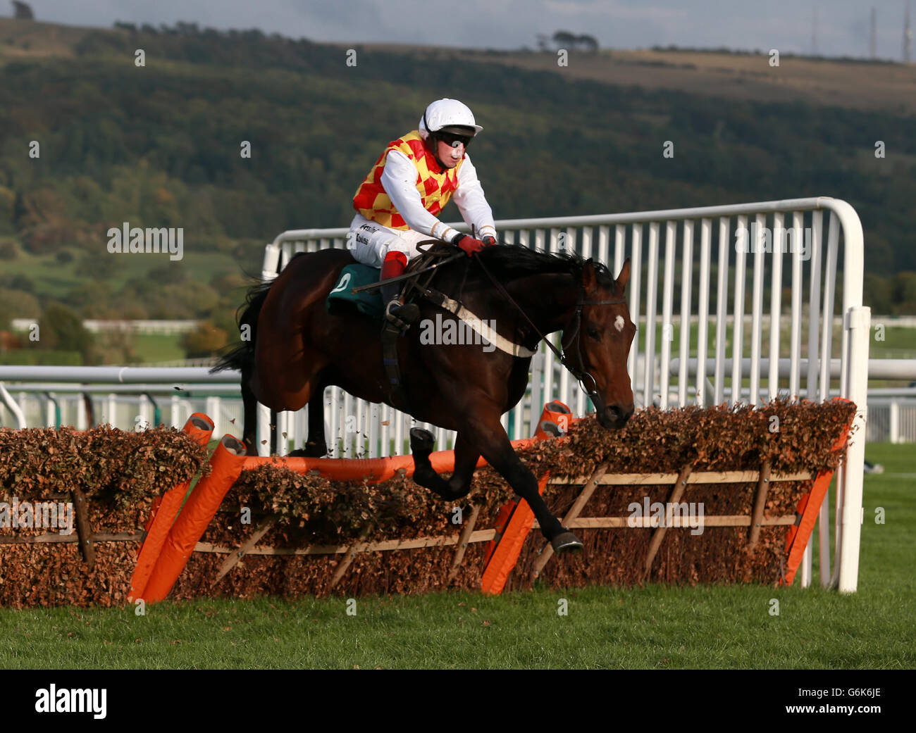 Volcanic Jack ridden by jockey Joe Cornwall in the Jack Dee Here On ...