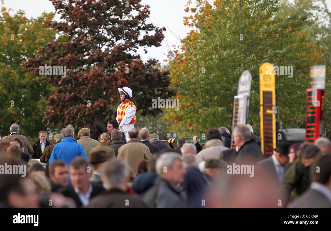 Volcanic Jack ridden by jockey Joe Cornwall in the parade ring before ...
