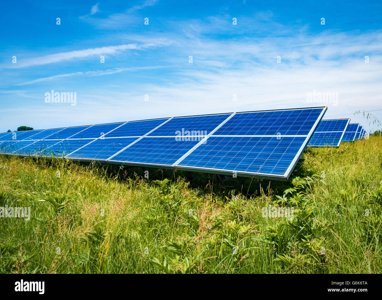 Photovoltaic panels installed in a green meadow Stock Photo - Alamy