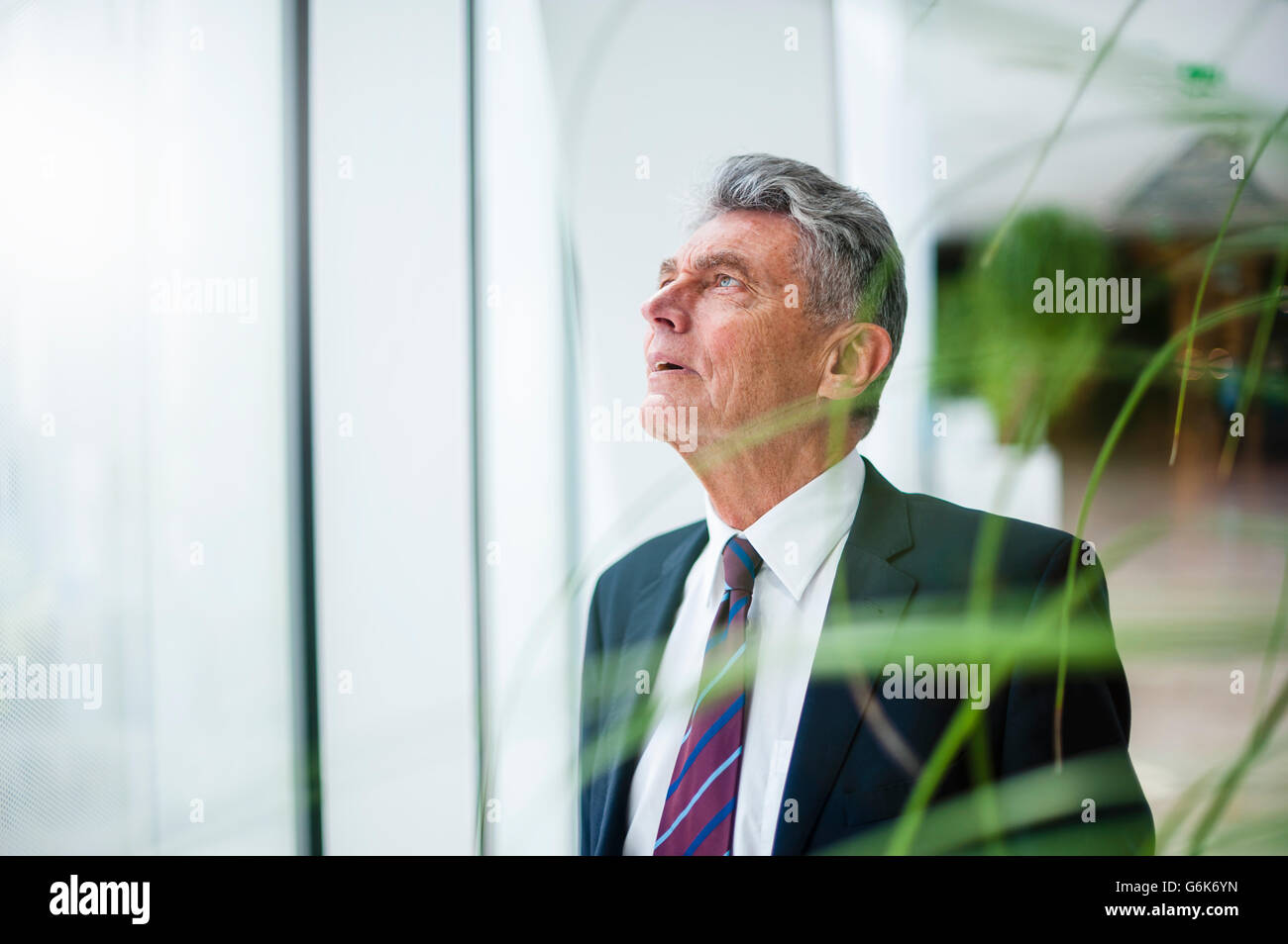 Senior businessman looking up at a window Stock Photo - Alamy