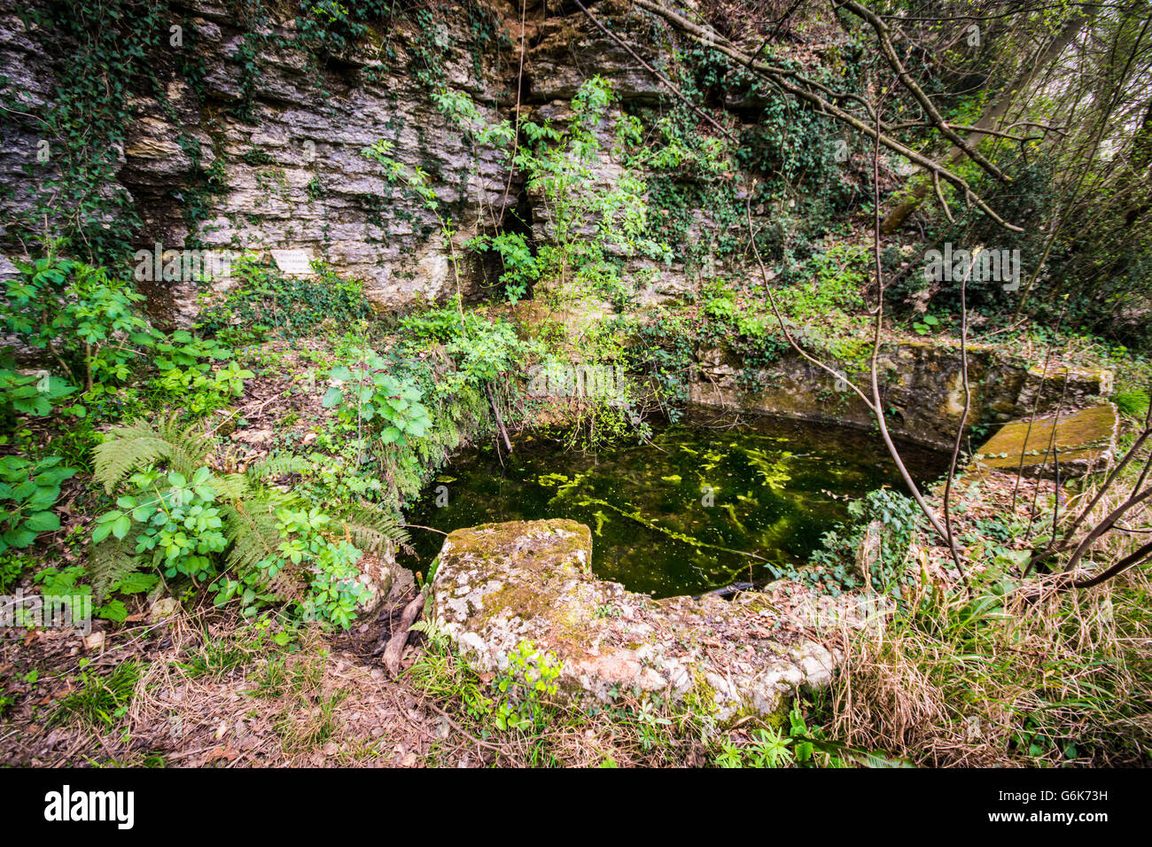 Old abandoned stone basin that was used to collect rainwater Stock ...